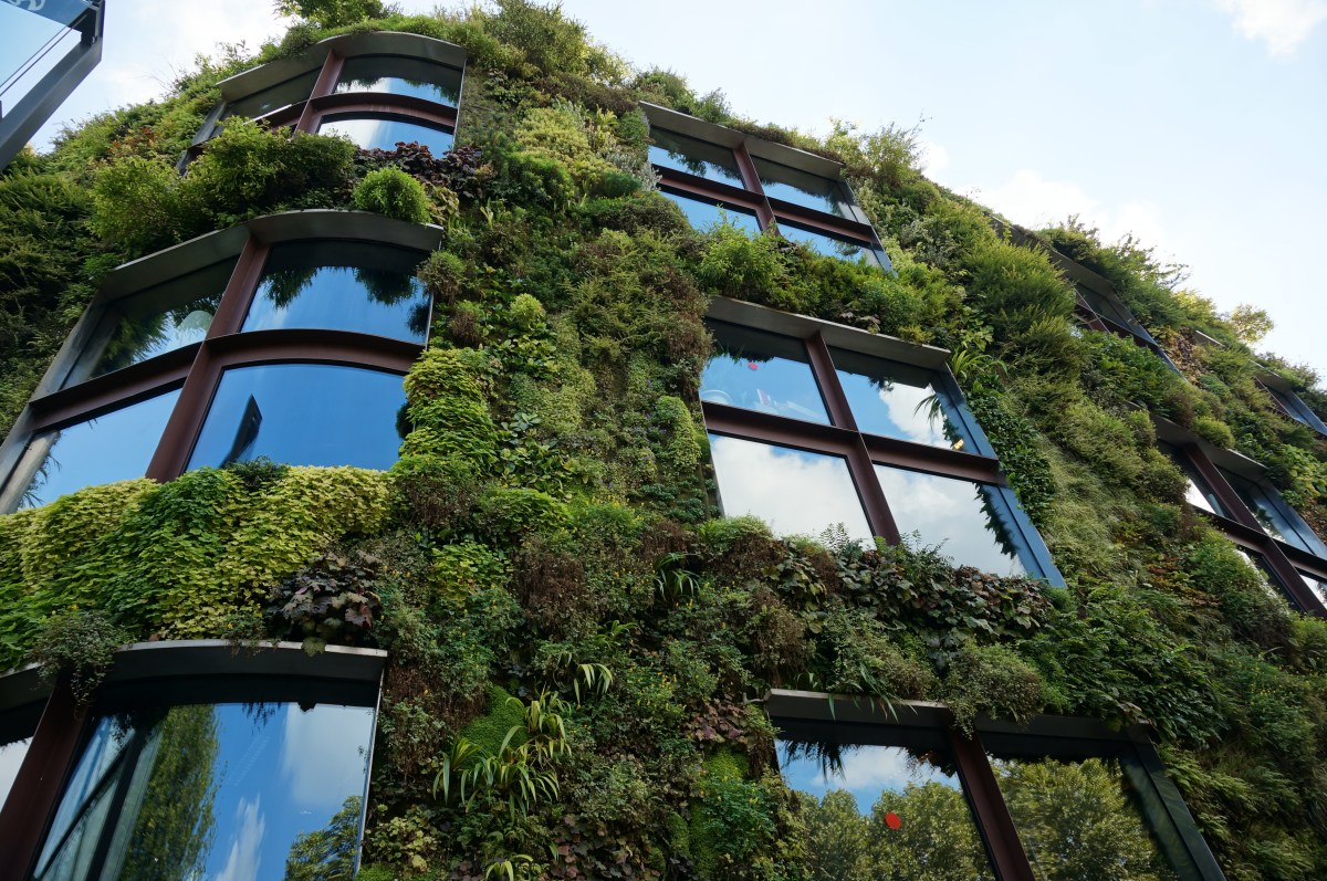 Green Windows – Travel with Intent