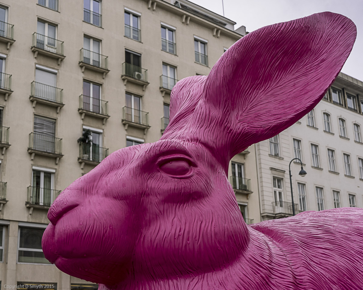 Pink Rabbit! – Travel with Intent