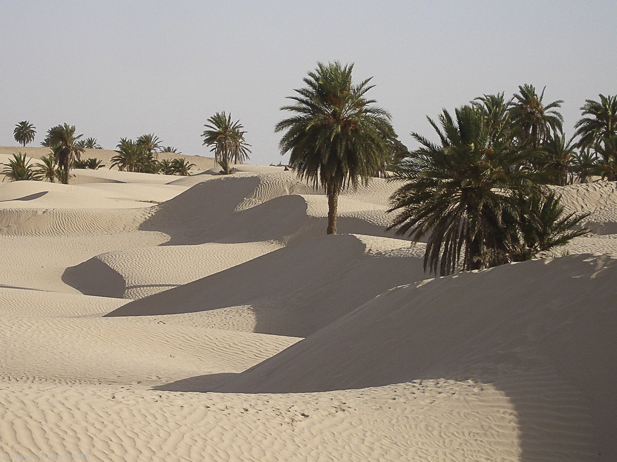 Saharan Sand – Travel with Intent