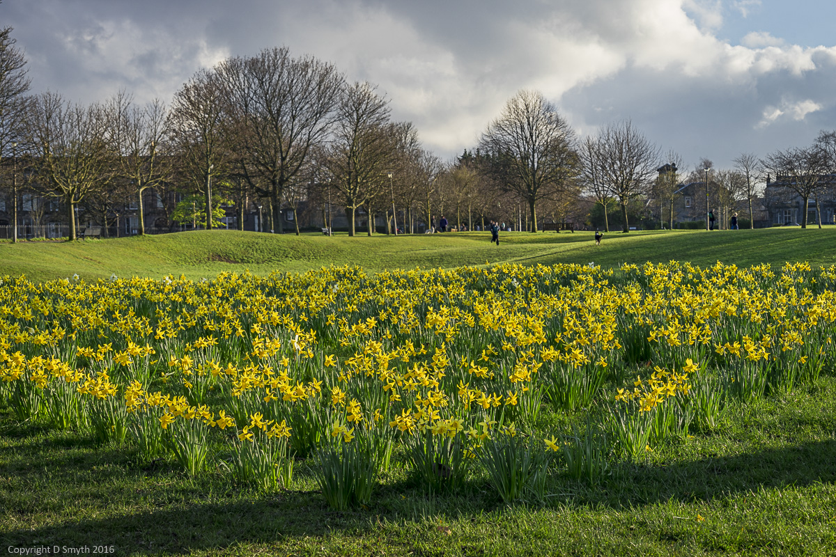 Edinburgh Spring – Travel with Intent