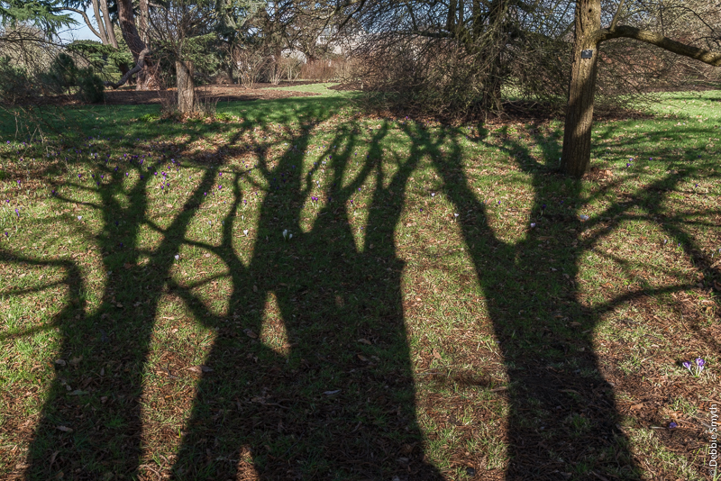 Spring is in the shadow – Travel with Intent