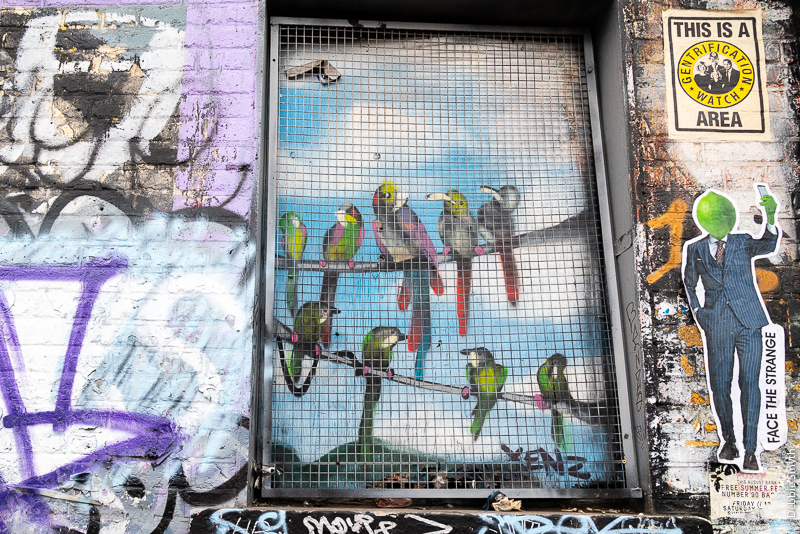 Caged birds in Hackney Wick – Travel with Intent