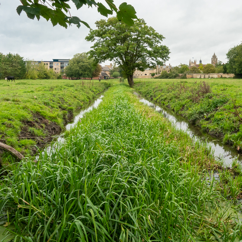 Countryside meets city centre – Travel with Intent
