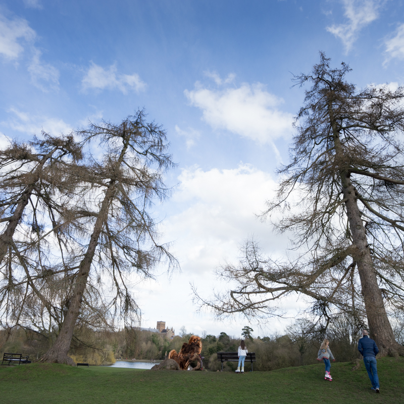 When great trees fall – Travel with Intent