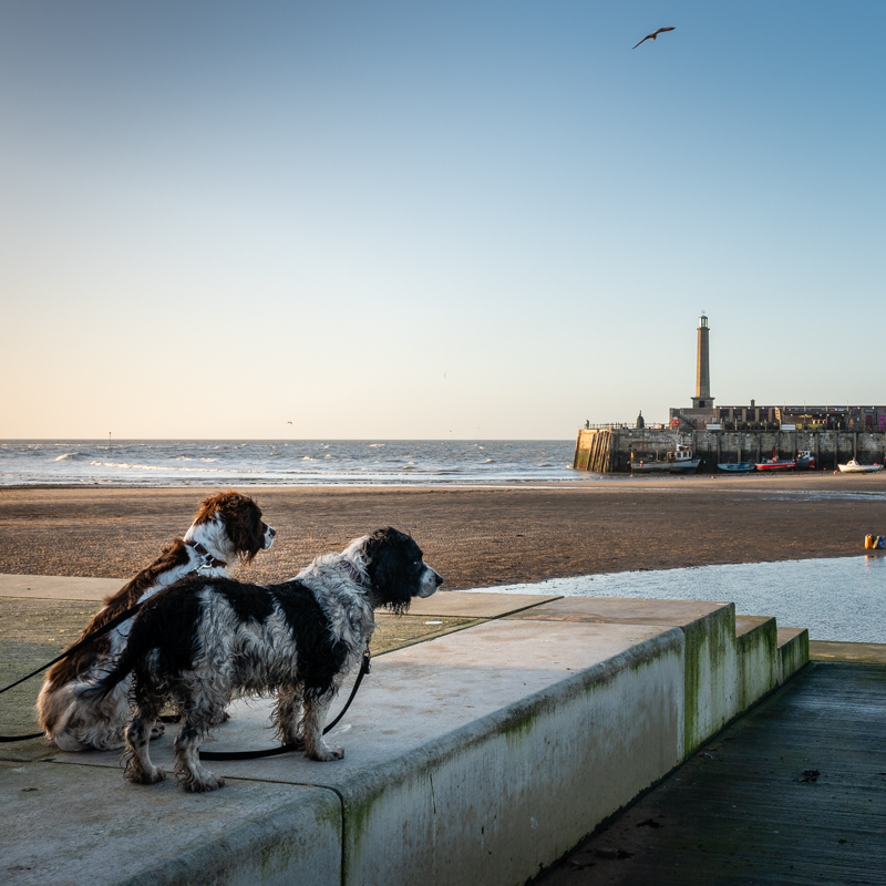 Wait – Travel with Intent